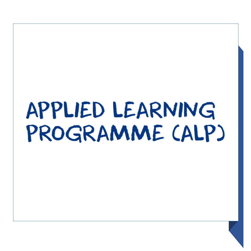 培群课程 Our Programmes